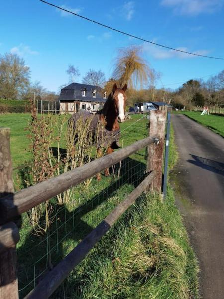 Obungalow De July Belle Vue - Basse-Normandie