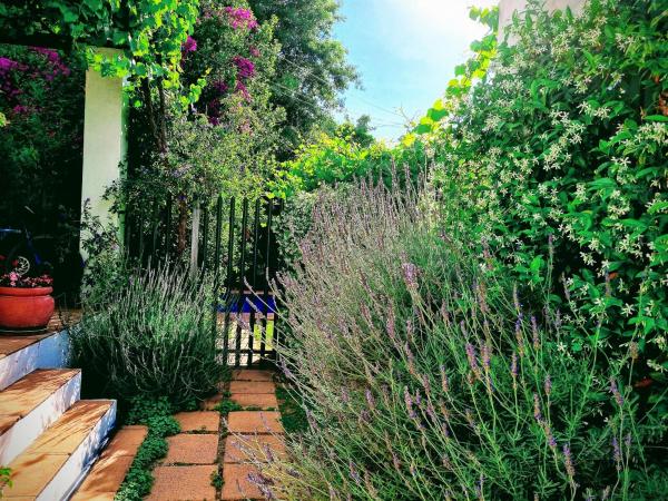 Sunny Lane - Franschhoek