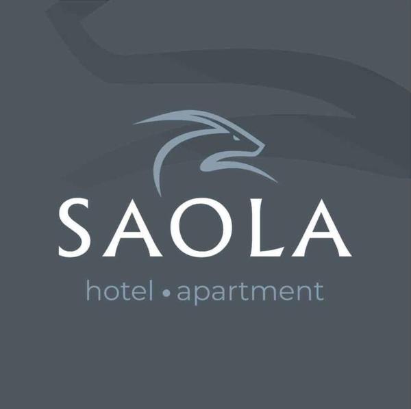 Saola Apartment Family - Hai Phong