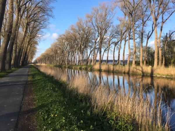 Domus Damme - Bruges