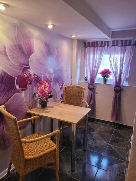 Ferienwohnung Jasmin In Schönau Bei Heidelberg Fewo 4 Souterrain - Heidelberg