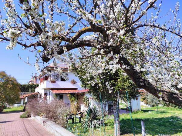 Il Ciliegio Holiday Apartment With Garden - Monterotondo