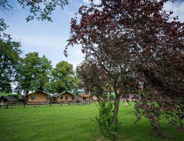 Buiten Aan De Baak - Pays-Bas