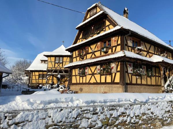 Gîte Le Chut - Piscine & Jacuzzi - 11 à 14 Personnes - Marlenheim