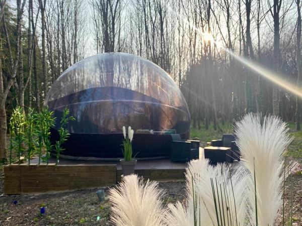 Logement Insolite "Bubble Jungle" - Finistère