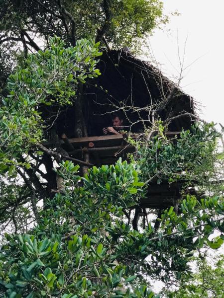 Jungle Tree Hut Anuradhapura Sri Lanka - Sri Lanka
