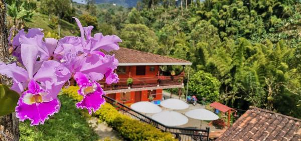 Hotel Orillas Del Pizano - Andes