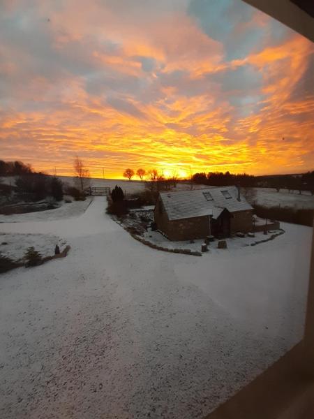 Boghead Cottage: Holiday Cottage In Royal Deeside - Aboyne