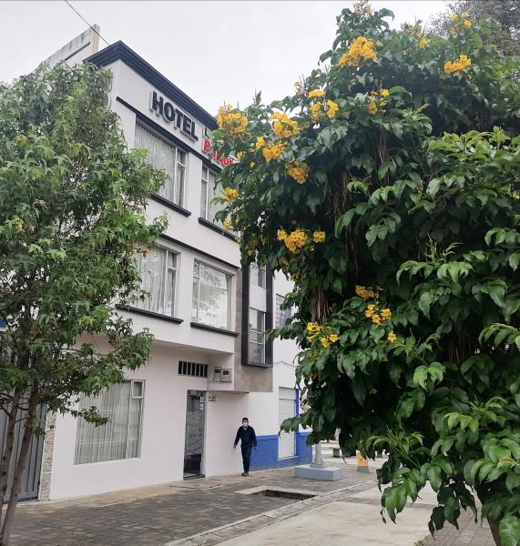 Hotel Lb - Los Balsos - Pasto