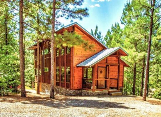 Birdhouse - Oklahoma