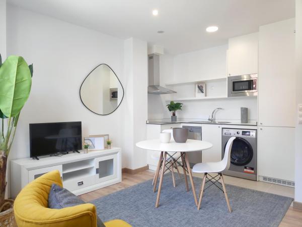 Apartamentos Rey - ÁTico 2 Dormitorios Con Terraza - Santiago de Compostela
