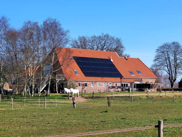 Slaopen En Stoet - Assen