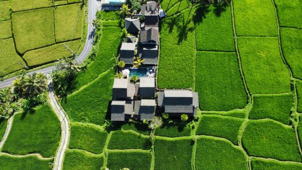 New Beautiful One Bedroom Located In Petulu. - Gianyar