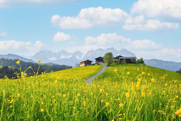 Mountain Vista - Bio Yoga Hof - Kitzbühel