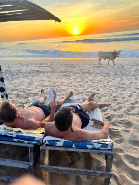 Nemasu Eco-lodge - The Gambia