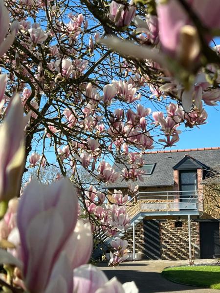 Au Petit Oia - Bretagna