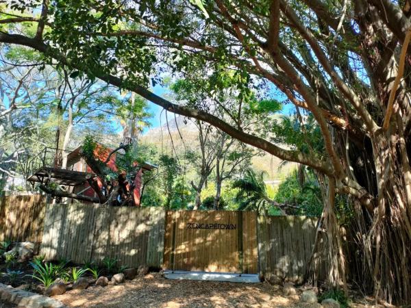 Zencapetown Forest Retreat - Cape Town