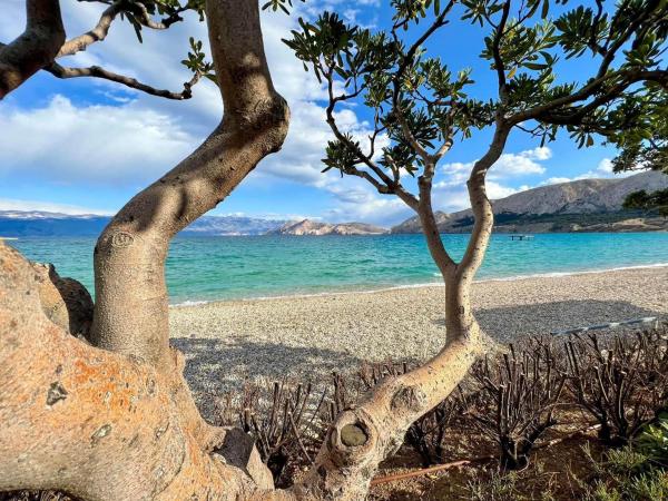 Art Suite Jurandvor - Baška