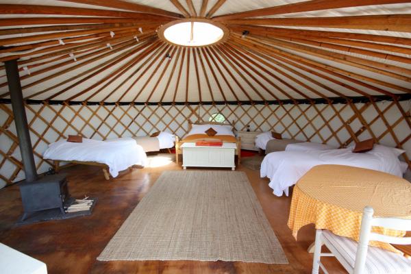 Chestnut Yurt - Hampshire