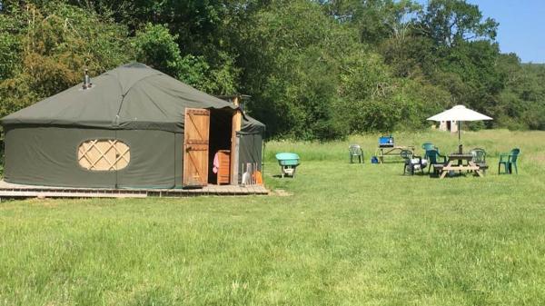 Willow Yurt - West Sussex