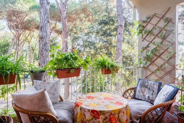 In Pineta A Due Passi Dal Mare - Viareggio