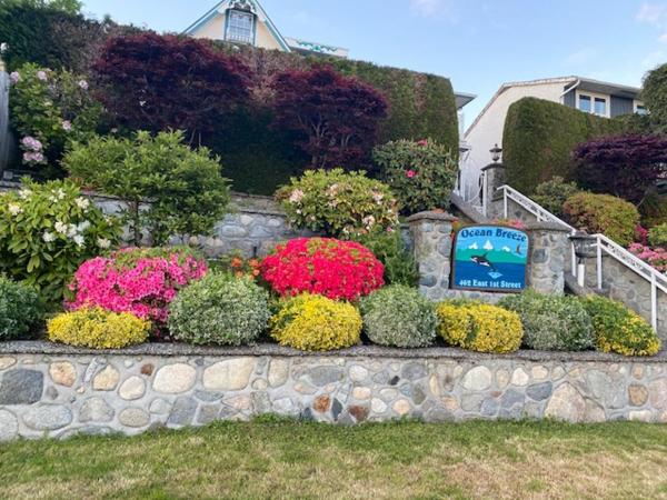 Ocean Breeze Executive Bed And Breakfast - North Vancouver