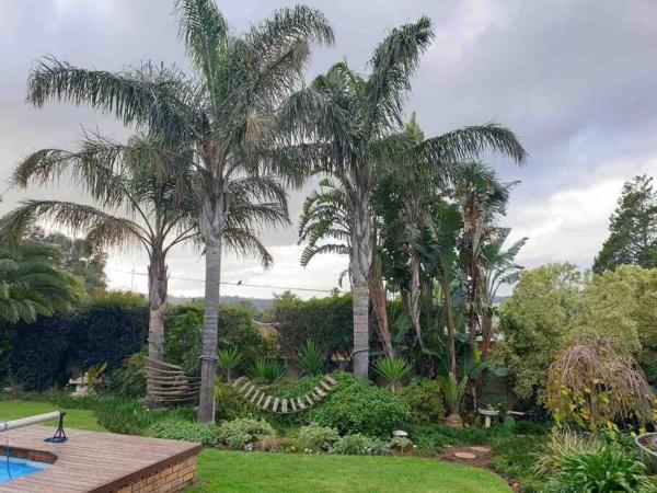 Open Living Family Home In The Winelands - Cape Town