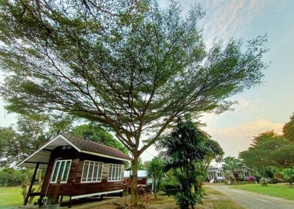 ผาผึ้ง Neverland - Mueang Prachinburi District
