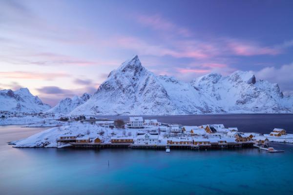 Sakrisøy Rorbuer - Reine