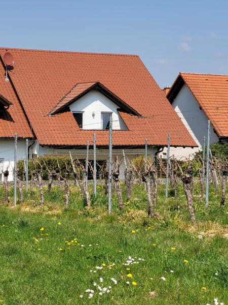 Ferienhaus Vongerichten - Bad Bergzabern