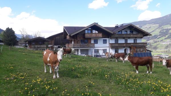 Schorpenhof - Schwaz