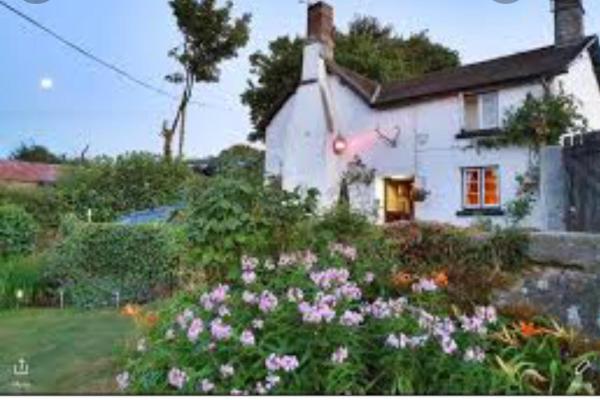 The Northmore Arms - Chagford