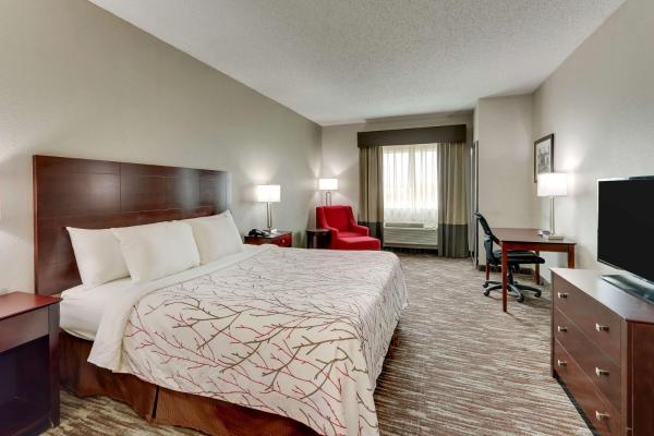 Best Western Plus University Inn & Suites - Wichita Falls, TX