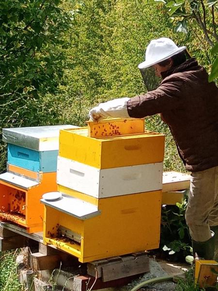 Il Rifugio Dell'ape Agriturismo - Senigallia