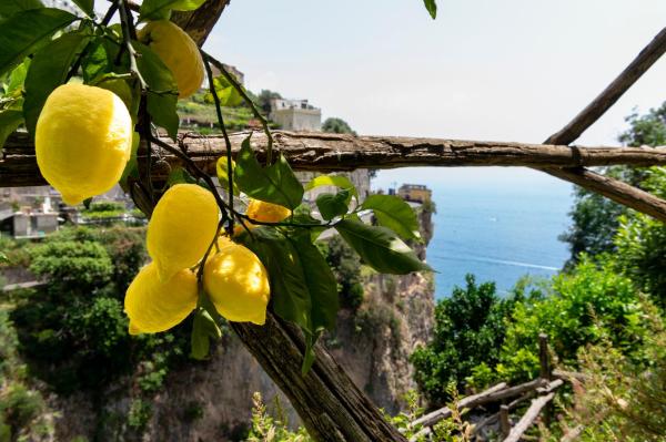 Hotel La Pergola - Amalfi