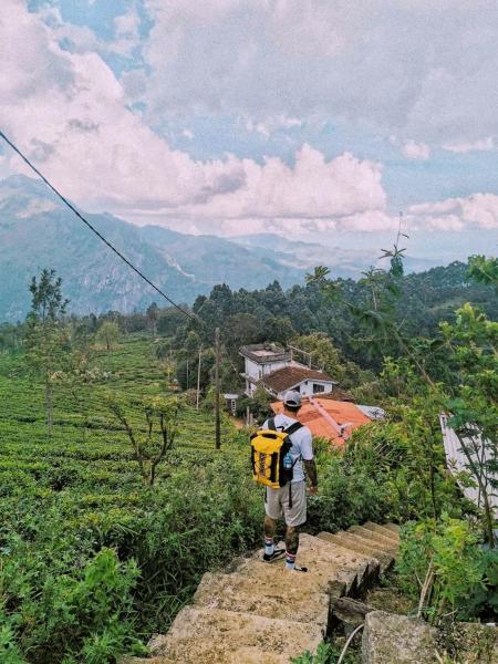 White Monkey Dias Rest - Sri Lanka