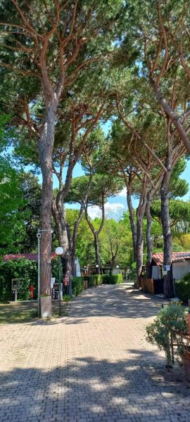 Camping Linus - Tuscany