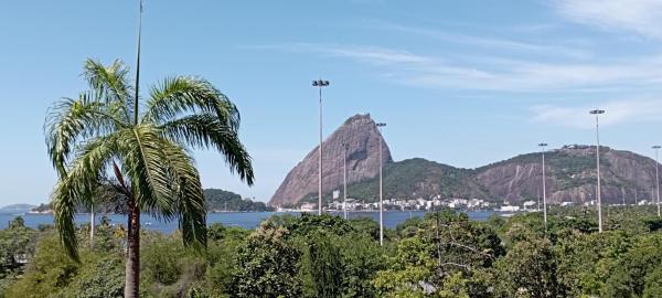 #Apartamento Aconchegante No Flamengo - Rio - Glória