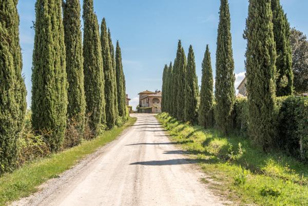 Torre Di Corsanello - Siena