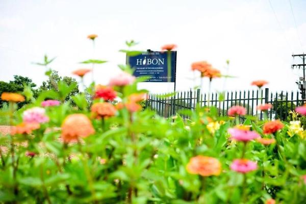 Hibon Lodge - Magaliesburg