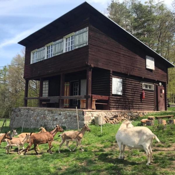 Chata S Duší - Beroun