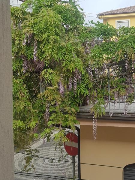 Una Finestra Sul Glicine - Melissa