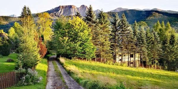 Kalinówka Kościelisko - Zakopane