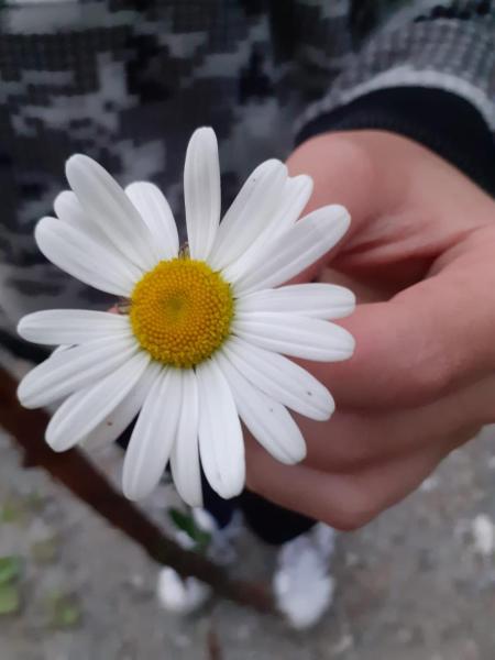 Appartamento Signorile Con Giardino - Aosta