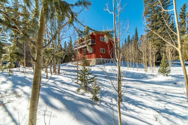 Enjoy The Creek Surrounded By High Mountain Peaks - Creekside Mountain Cabin - Alma, CO