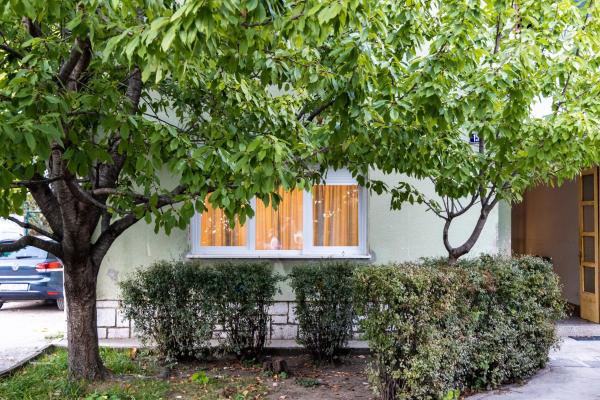 Wild - Sinj