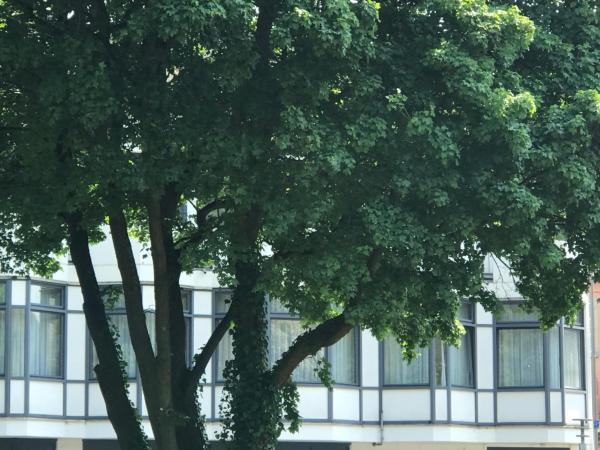 Gästezimmer Klein Und Fein Für Nach Dem Wein - Piesport