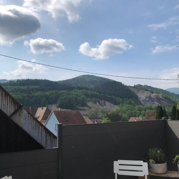Appartement Vintage A L Ancienne Forge - Alsacia