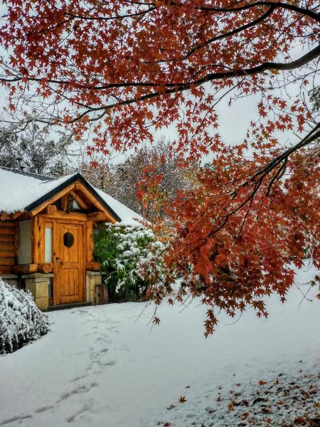 Blue Bird House - Argentina