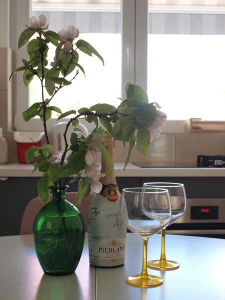 Apartmani Luce - Zadar